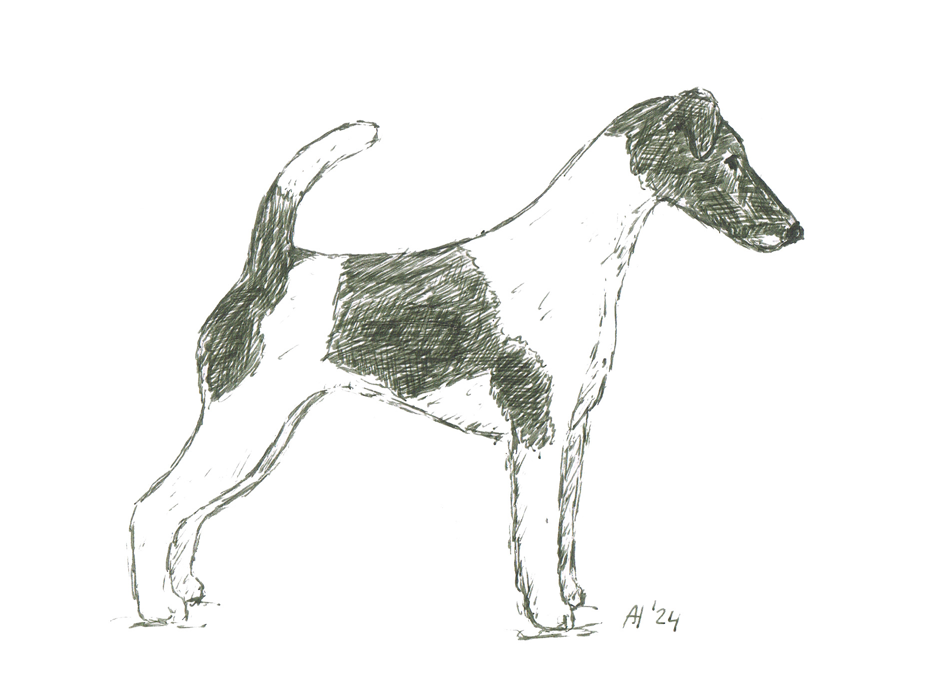 Herplaatsers Nederlandse Foxterrier Club