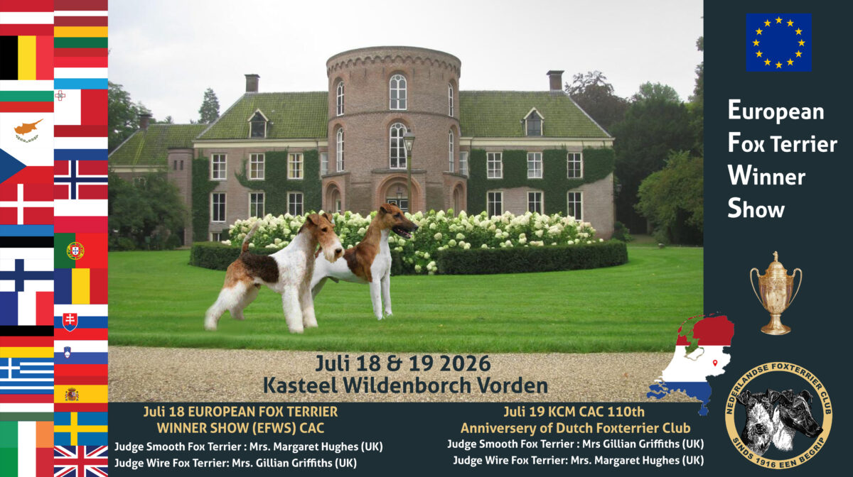 European Fox Terrier Winner Show – Nederlandse Foxterrier Club